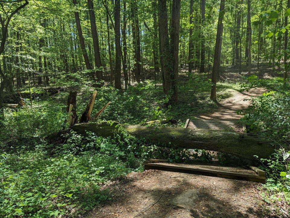 Kennesaw Battlefield Park Trail Blocked by Fallen Tree