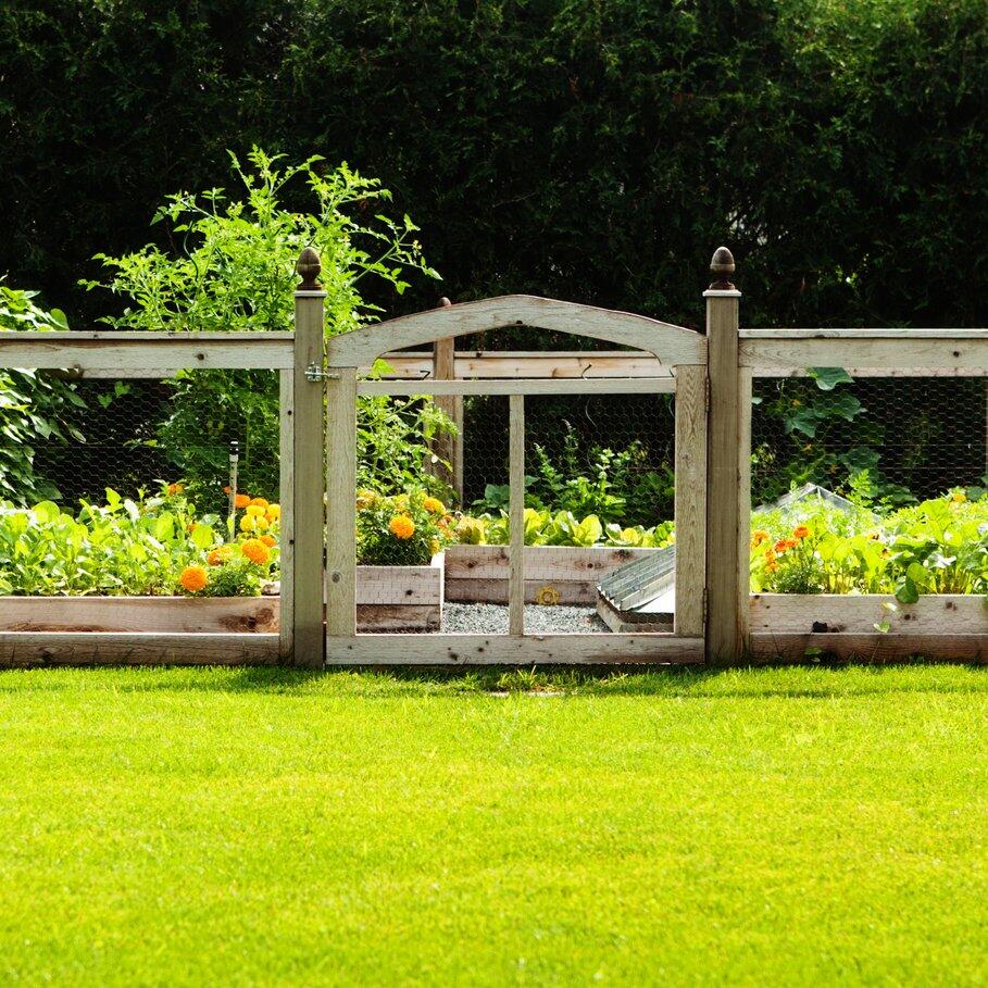 9 Simple Vegetable Garden Fence Ideas To Protect Your Produce - NewsBreak