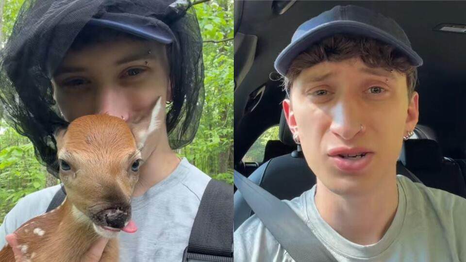 Michigan Man Rescues Baby Fawn in Distress, Then Receives Devastating ...