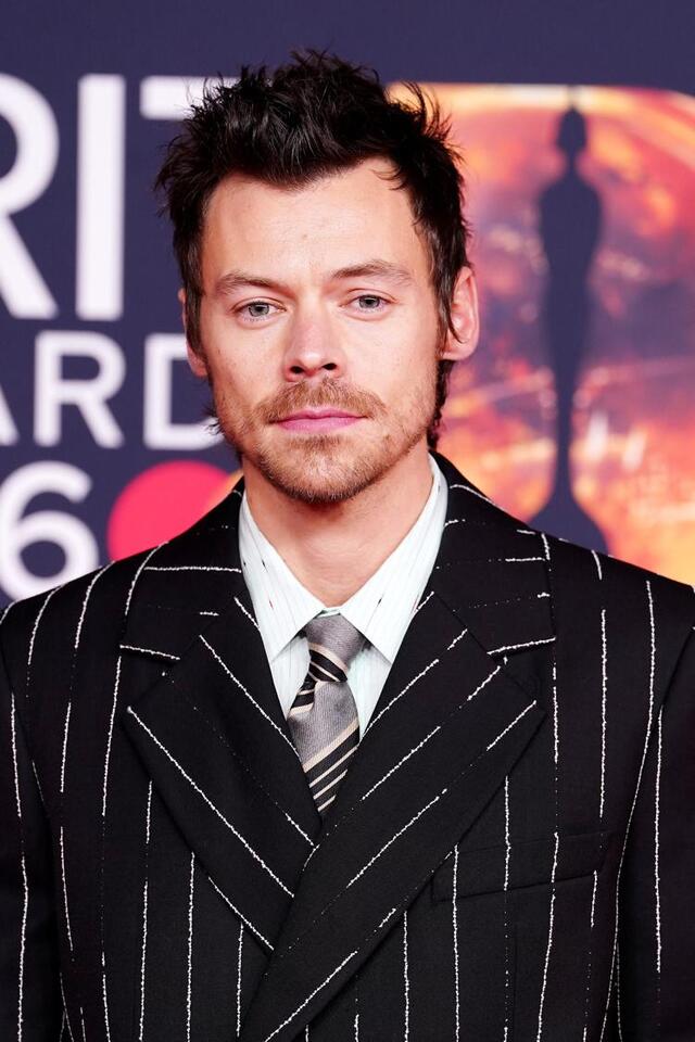 Harry Styles reveals diverse line-up for 2026 Meltdown festival ...