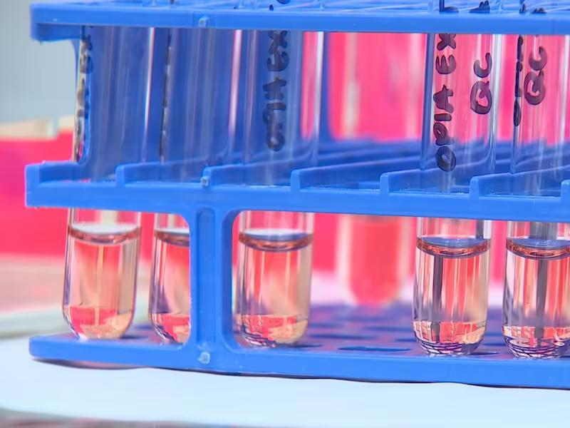 GBI Crime Lab works to decrease backlog of cases