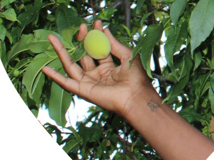 Performance Space New York Will Host Elliot Reed's YOU CAN HEAR FOOTSTEPS