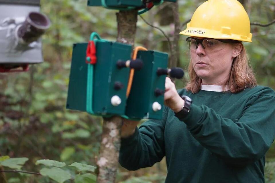 The Importance of Female Biologists in Protecting Endangered Species ...