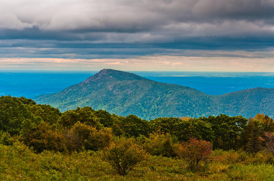 Scenic Trails in Shenandoah Valley - NewsBreak