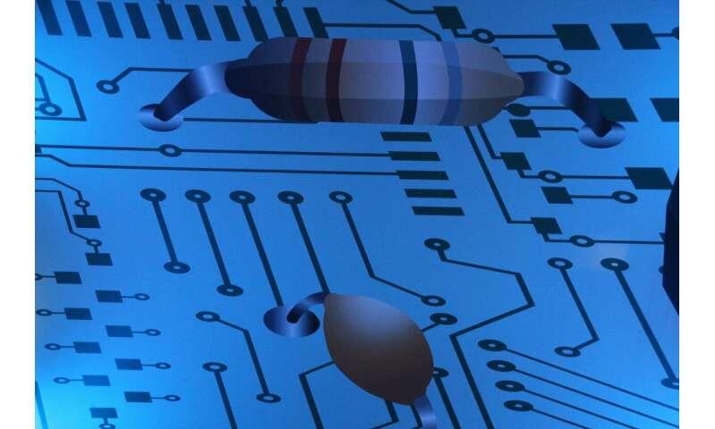 Engineers develop a magnetic transistor for more energy-efficient ...
