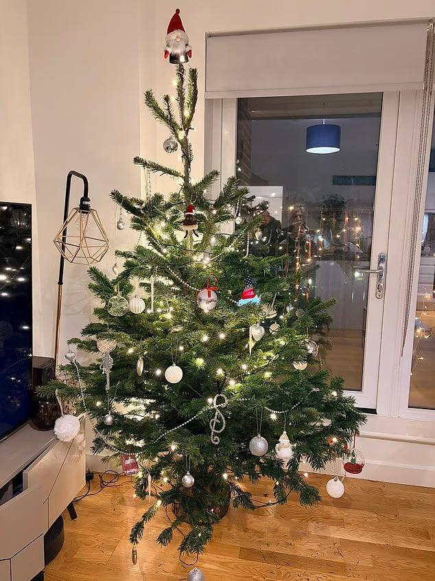 Best Christmas lights 2025: I tested dozens of decorations - these are ...