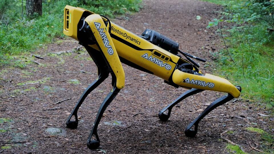 Sci-Fi Meets Reality: The 20 Coolest Robots That Exist In The World ...