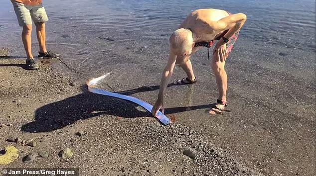 Terrifying 'doomsday' fish found on beach in Canary Islands sparking ...