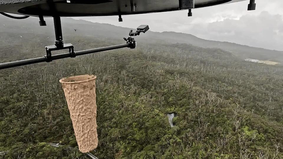 Scientists use drones to release millions of specialized mosquitoes for ...