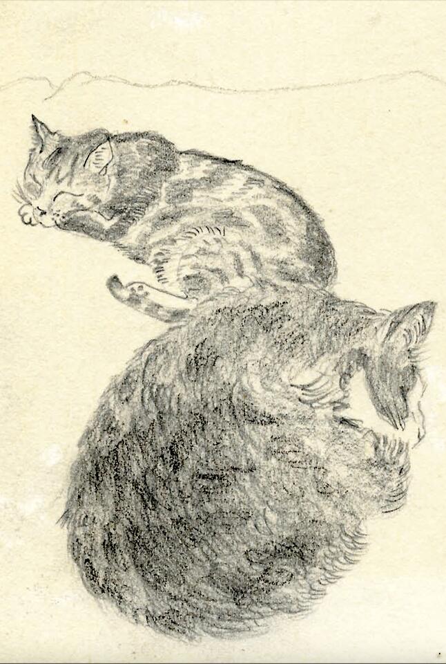 A Poem by Ursula K. Le Guin About Cats - NewsBreak