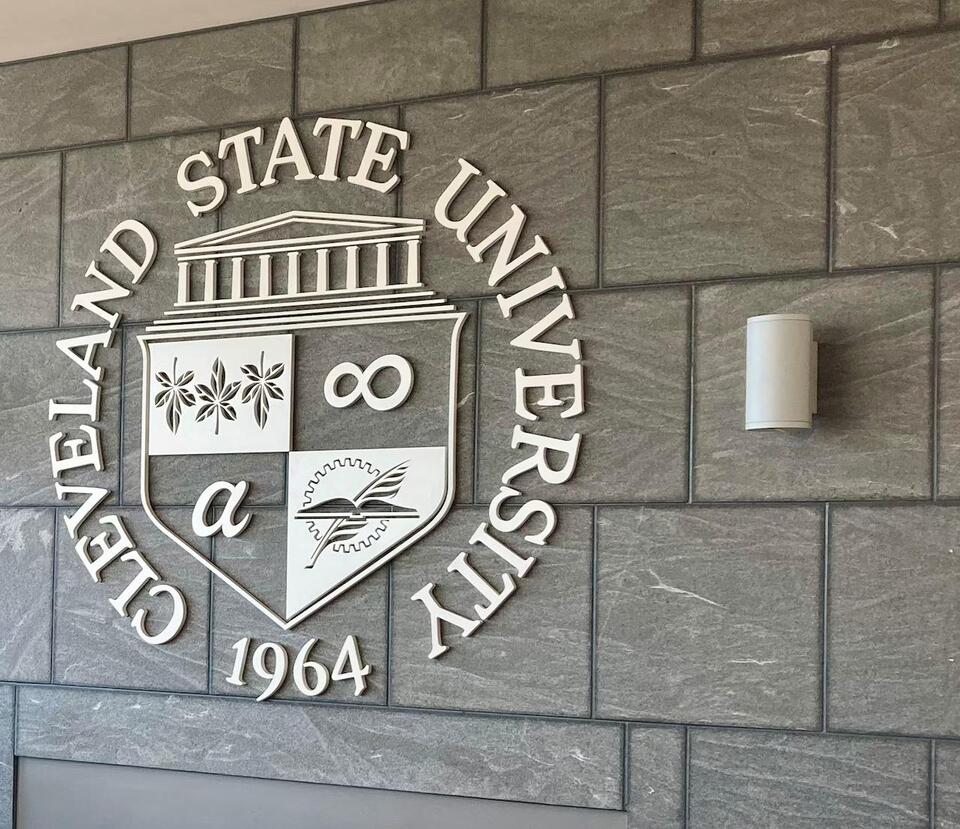 Former CSU professor accused of mishandling data on children for ...