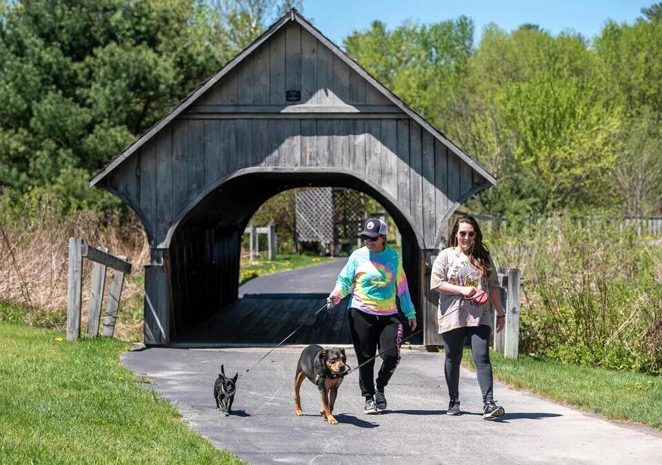 Leaving dog poop on hiking trails is a health hazard - NewsBreak