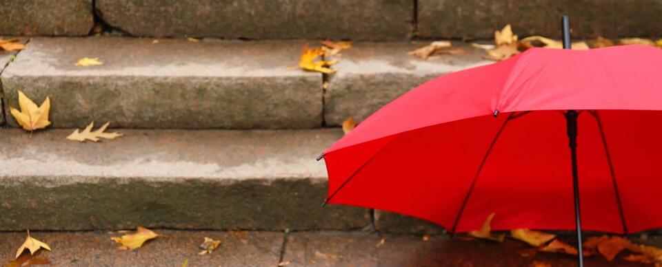 Friday weather forecast for Wausau - NewsBreak