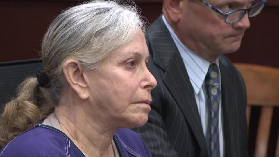 Donna Adelson back in court, judge agrees to hear bond request Feb. 26 ...