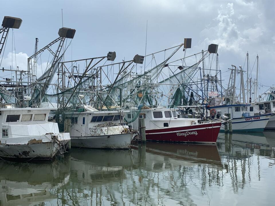 Save Our Shrimpers Act remains stalled in Congress - NewsBreak