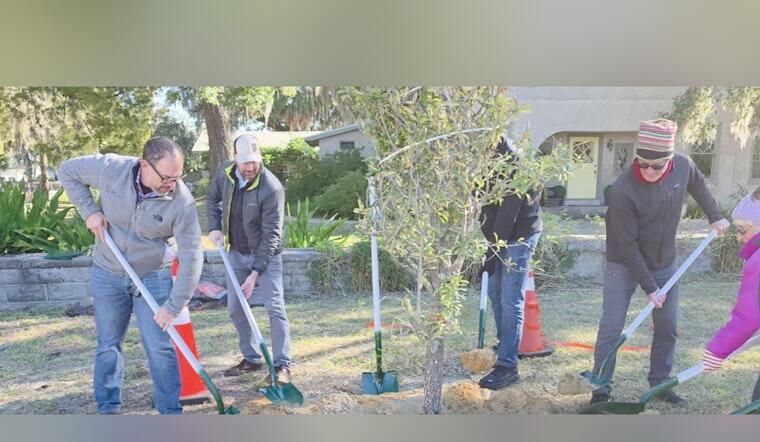 St. Augustine Marks 43rd Year as Tree City USA with Community-Centered ...