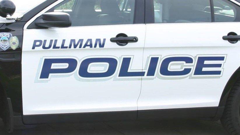 Pullman custodian arrested on child rape and molestation charges ...