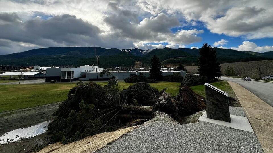 Kellogg School District to replant trees toppled in wind storm - NewsBreak