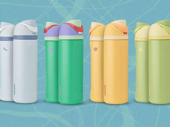 Owala x Disney Princess FreeSip bottles — sip like royalty