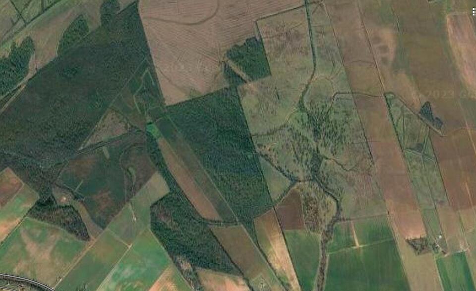 Louisiana's Six Largest Land Owners - NewsBreak