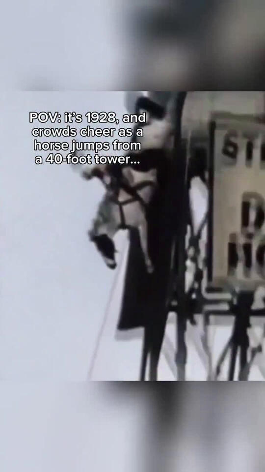 #TooFunnyToScroll Horsediving began in the late 1800s as a Wild West ...