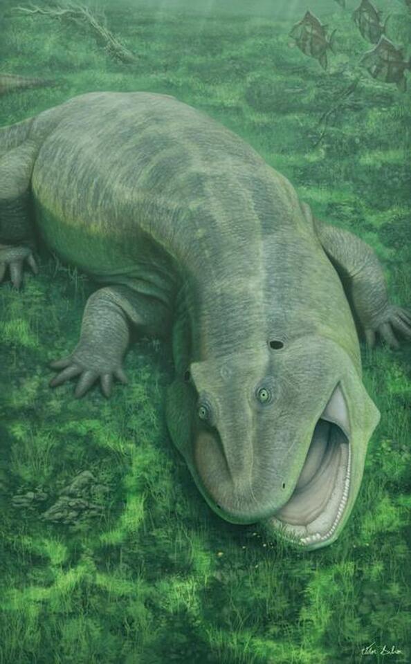 275-Million-Year-Old Fossil With a Twisted Jaw Reveals an Unexpected ...