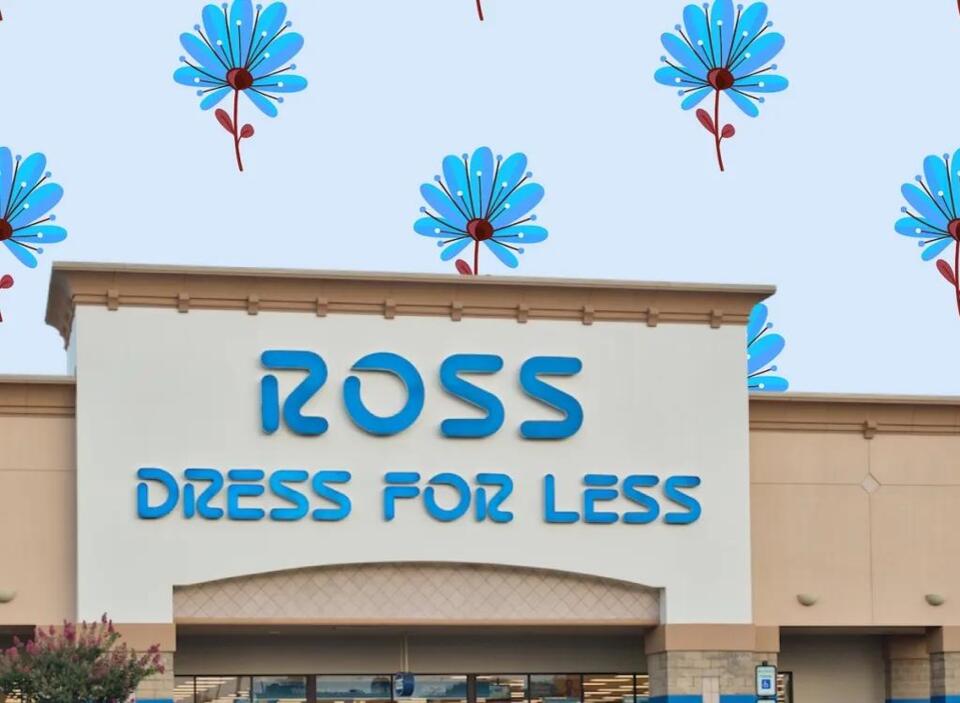 10 Best New Cozy Comforters and Blankets From Ross Dress for Less to ...