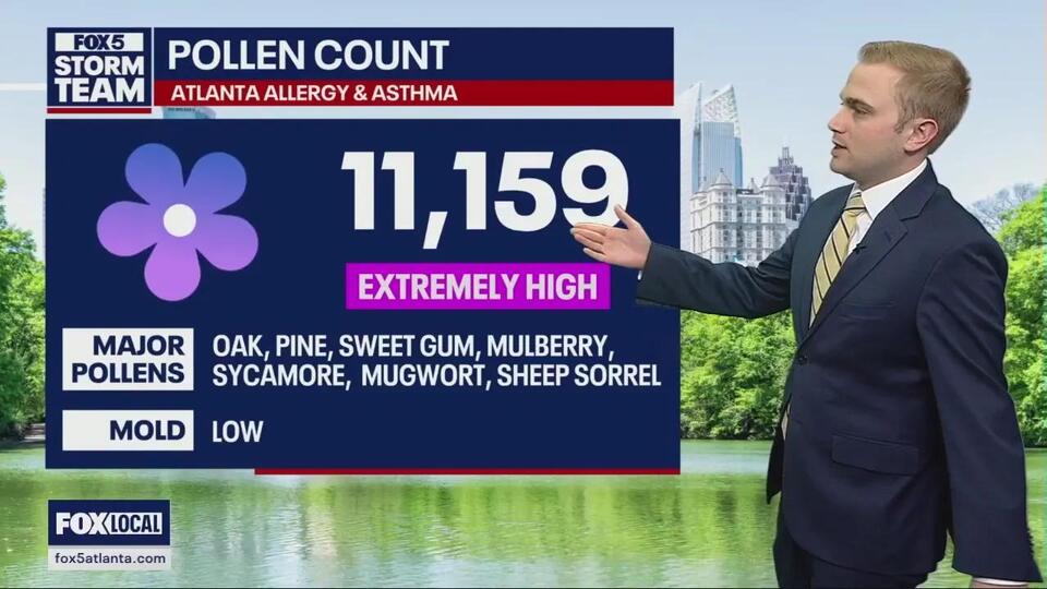 Pollen Update: Extremely High Values This Weekend - NewsBreak