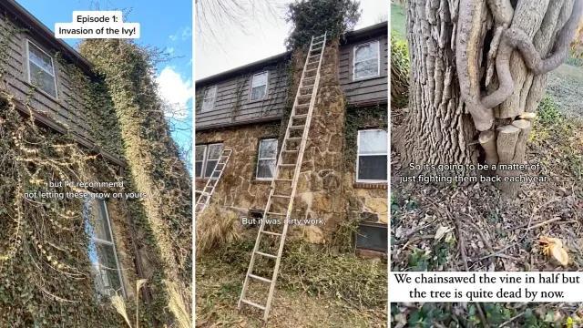 Homeowner shares incredible before-and-after photos of historic cottage ...