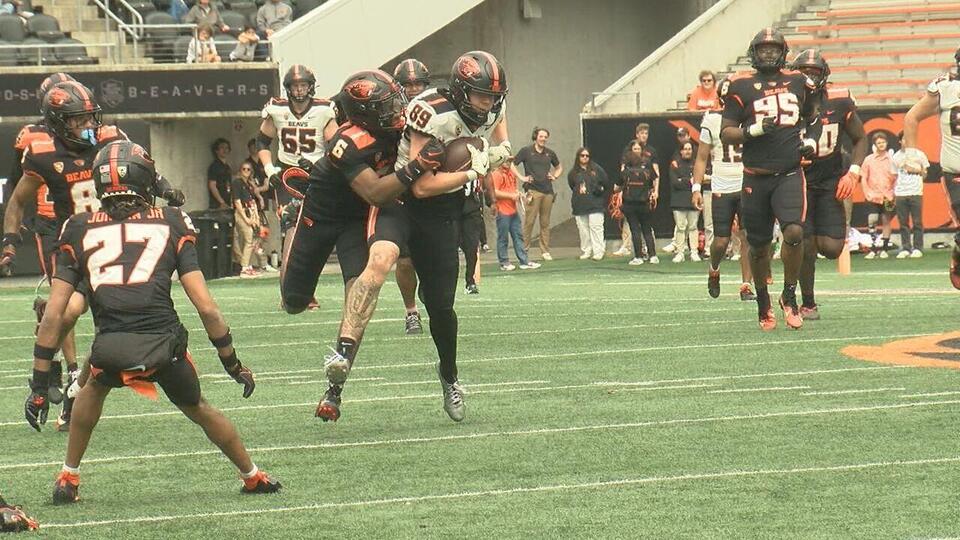 OSU FB: Beavers host spring showcase at Reser Stadium - NewsBreak