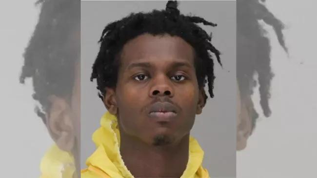 Suspect In Dallas Zoo Monkey Heist Faces Strict Bail Conditions - NewsBreak