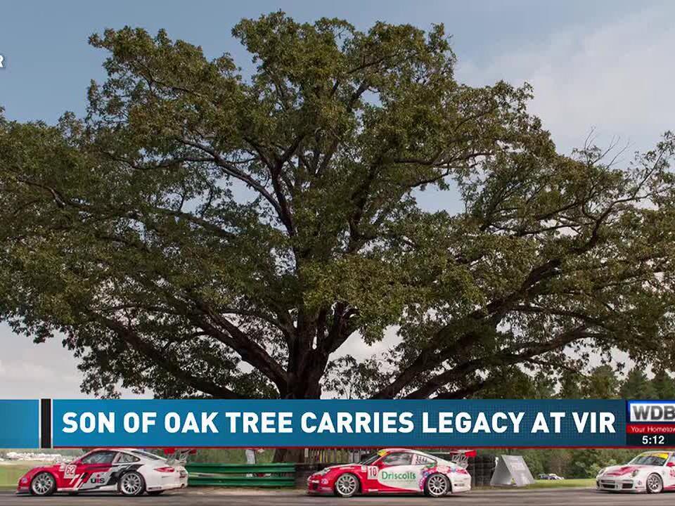 Son of Oak Tree carries Legacy at VIR