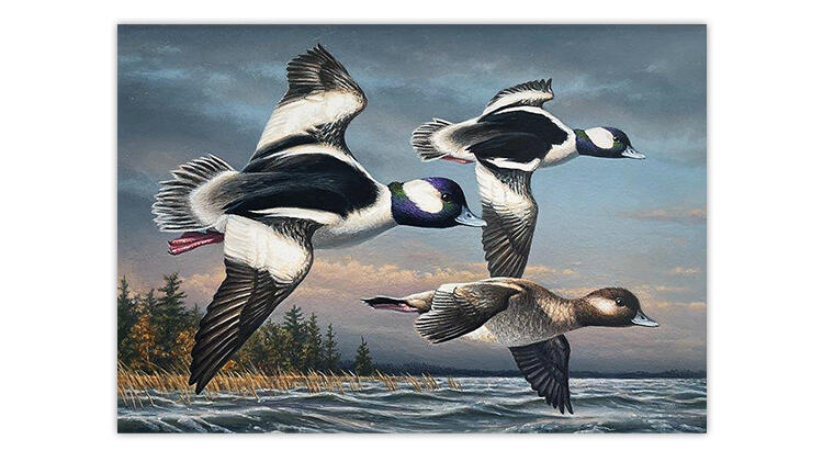 James Hautman wins 2025 federal duck stamp art contest - NewsBreak
