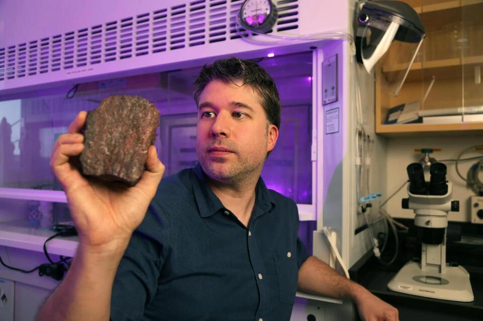The Rock That Fooled Scientists: No Signs of Early Life - NewsBreak