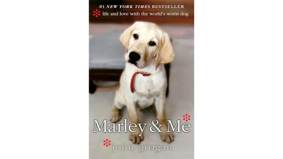 The Best Sad Books: 11 Captivating Novels to Read When You Need a Good ...