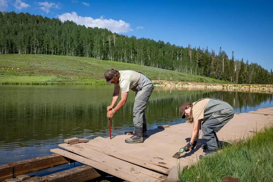 Enhancing Utah’s Wildlife: Dedicated Hunters Make Impact In 2024 ...