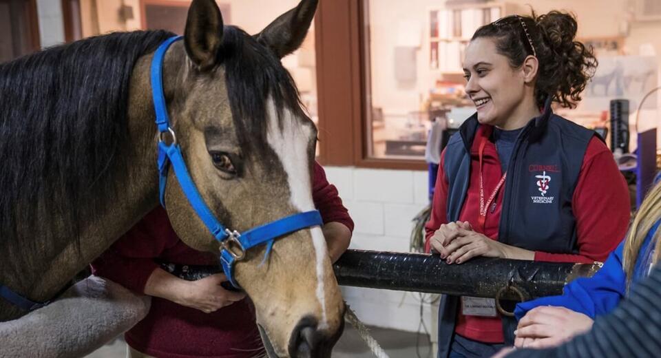 Cornell Equine Seminar Series – Equine Welfare and Agency: Why Choice ...