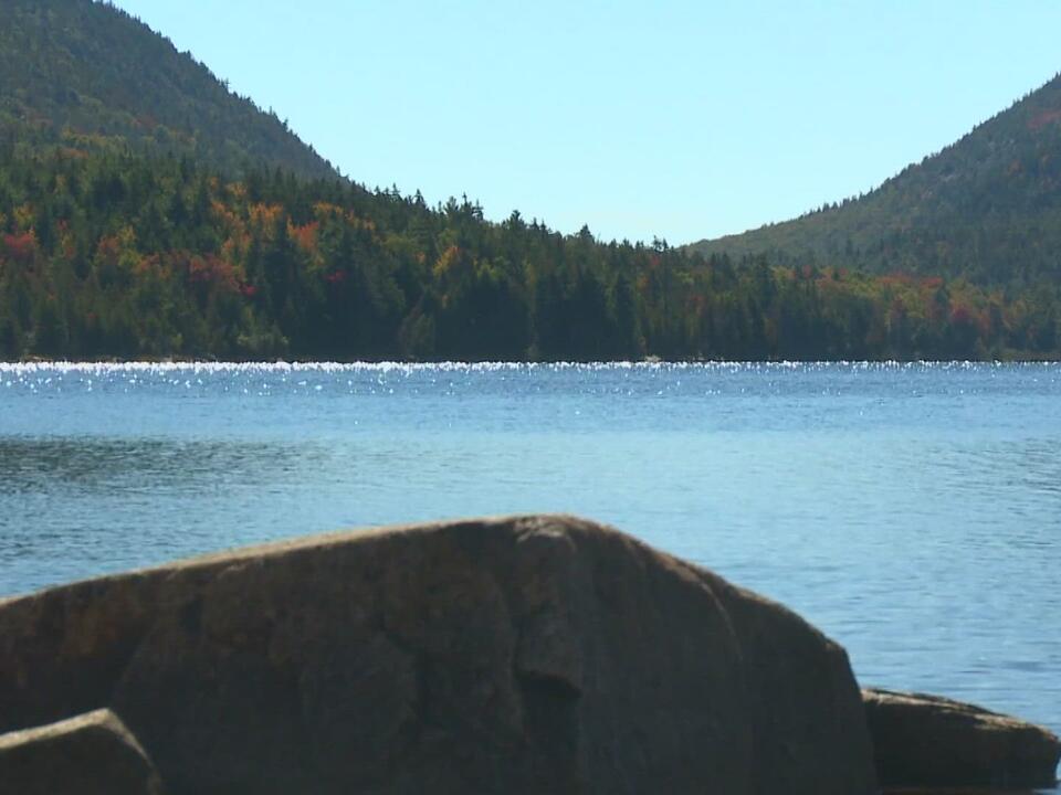 Five Wabanaki tribes will be allowed to collect sweetgrass at Acadia ...