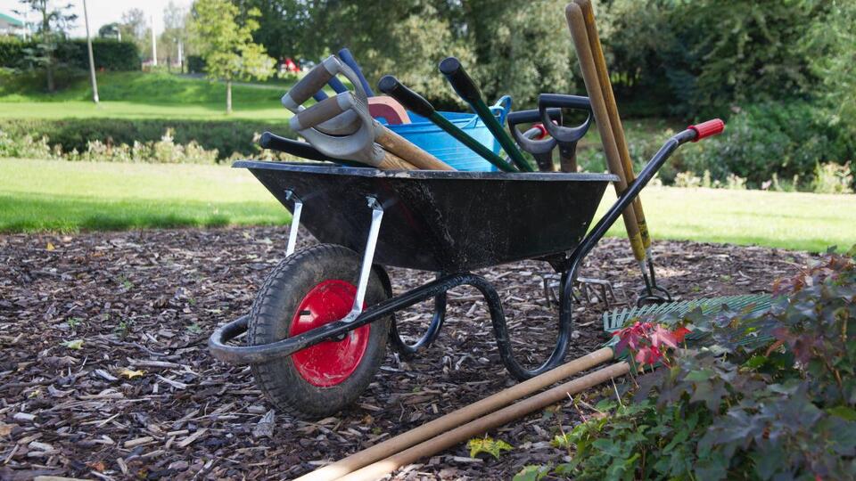 Tippecanoe County residents can swap invasive plants for free native ...