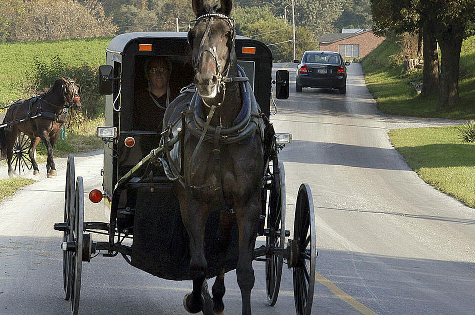 Minnesota Authorities Investigating Vehicle-Amish Buggy Crash That ...