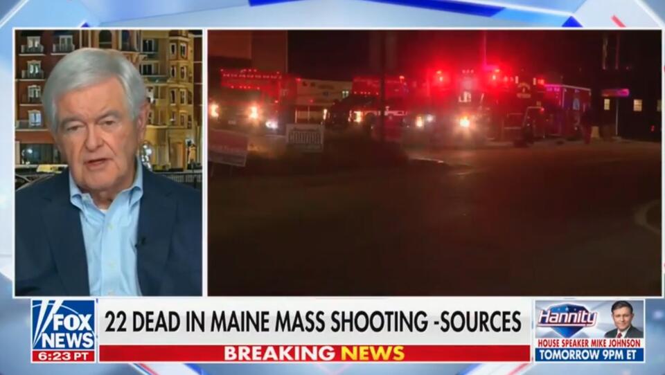 Newt Gingrich Calls For More Relaxed Gun Laws on Fox News Immediately ...