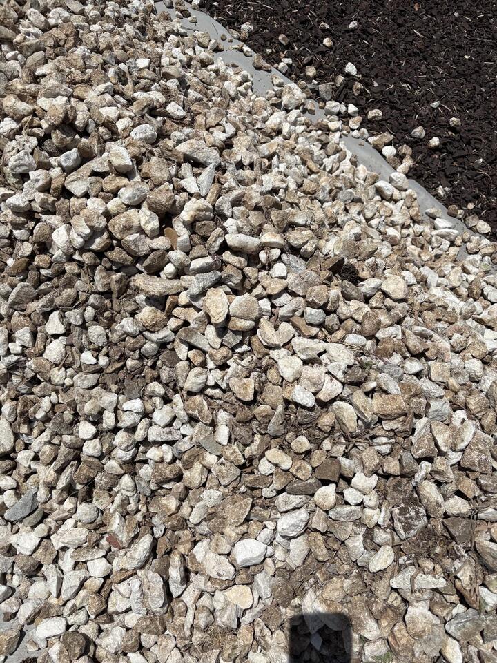 🎁 Freebies Up for Grabs in Poway — Rocks, Plants & More - NewsBreak