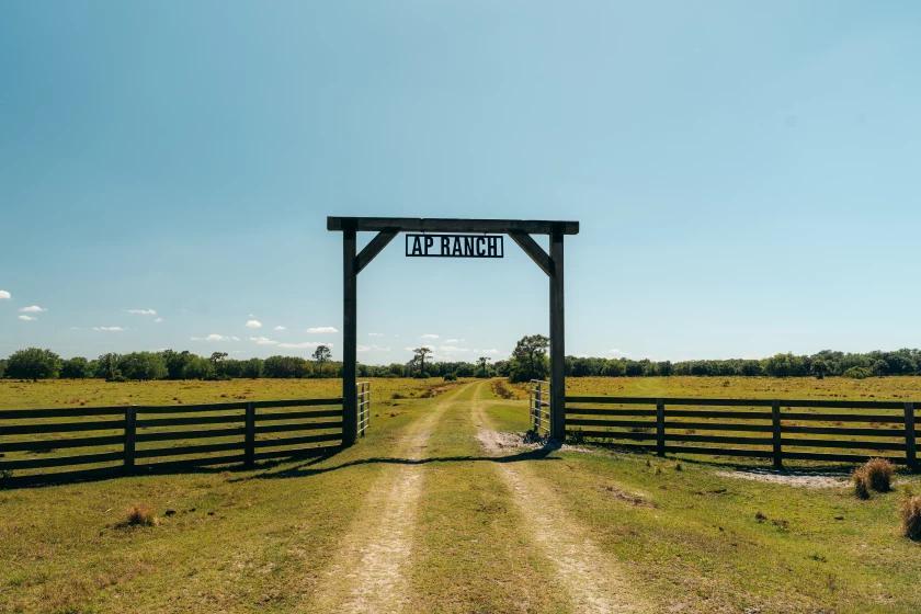 Easement purchase protects 1,003 acres of prime panther habitat on a ...