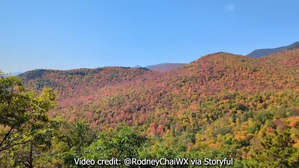 West Side Nut Club release 2025 Fall Fest Munchie Map - NewsBreak