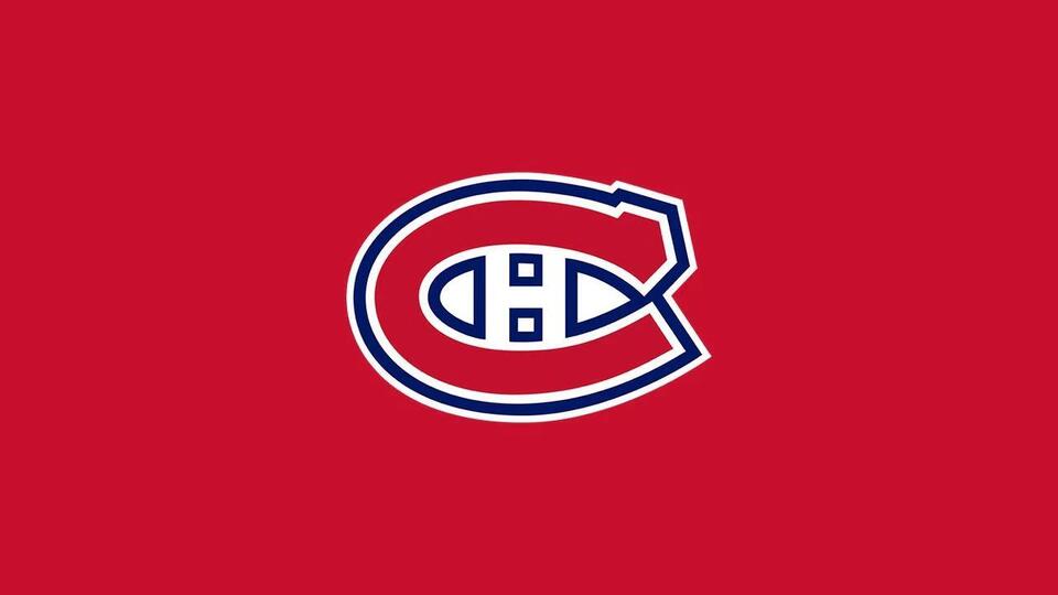 Brendan Gallagher Went From the Press Box Straight to the Goal Crease ...