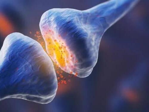 The surprising truth about dopamine