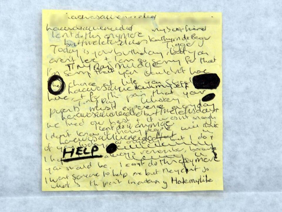 Lucy Letby's 'I am evil' so-called confession notes 'were written as ...