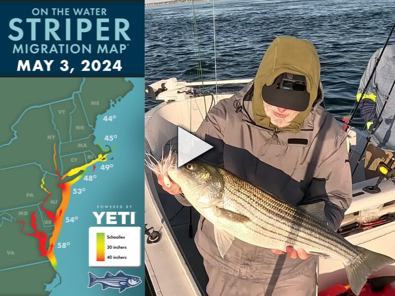 Striper Migration Report- May 3, 2024 - NewsBreak