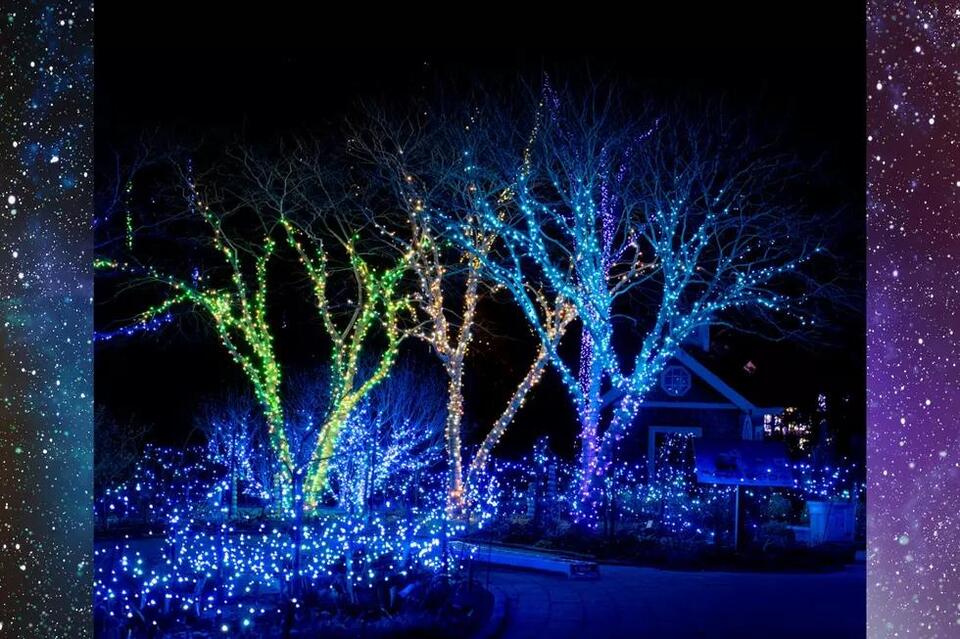 Yes, It’s Spring, but Maine’s Iconic Gardens Aglow Just Dropped Its ...