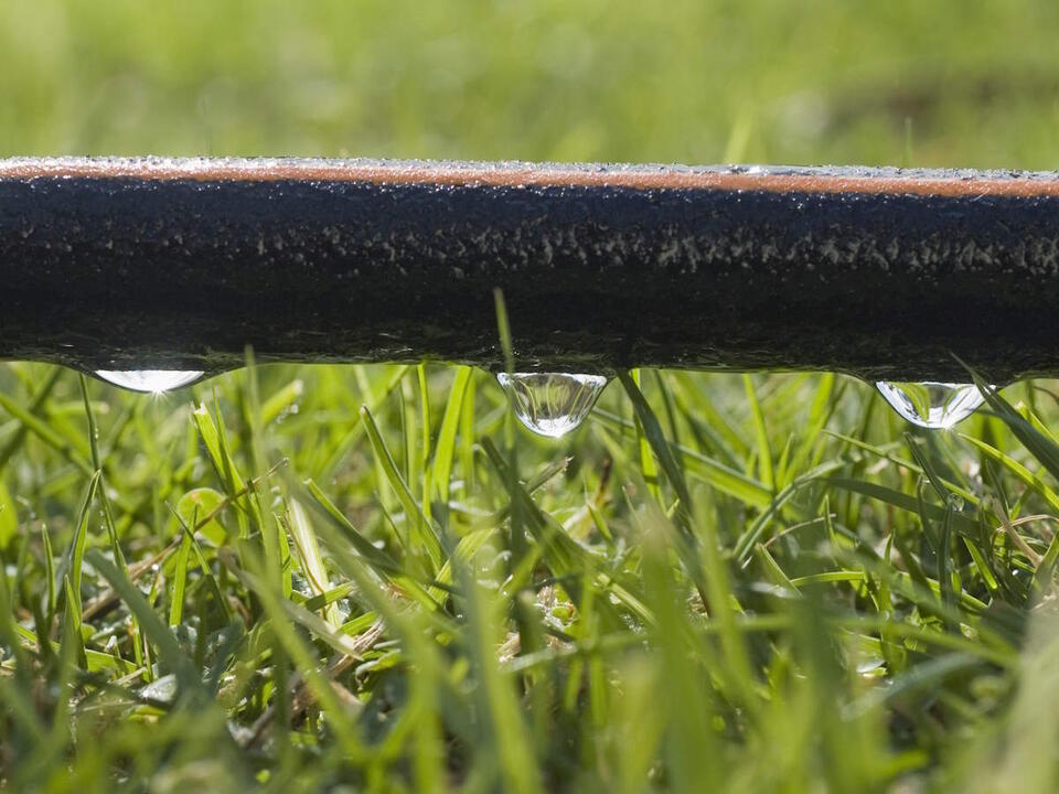 What is a soaker hose? Discover how these hoses offer an easy and ...